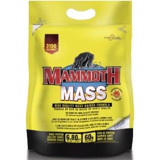 Mammoth 2500 - SupplementenFacts.nl